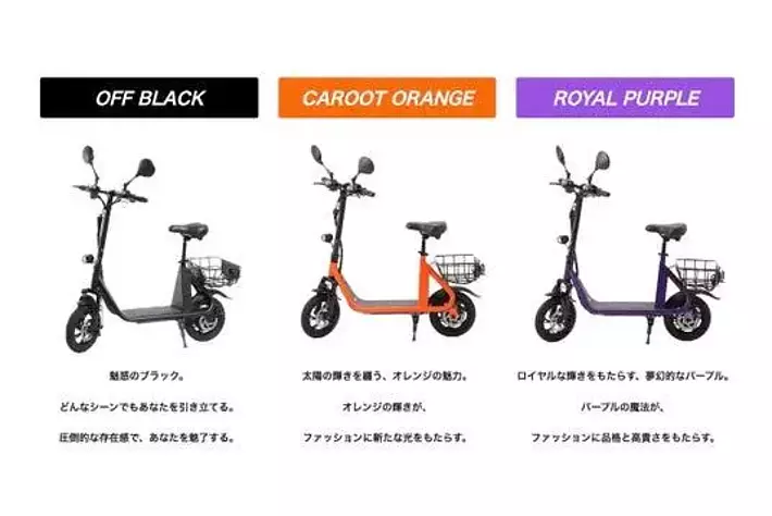 福井県敦賀市にてSun Emperor＜EV BIKE（SS1）試乗会＞開催のお知らせ(画像ギャラリー No.3) | 【業界先取り】業界 ...